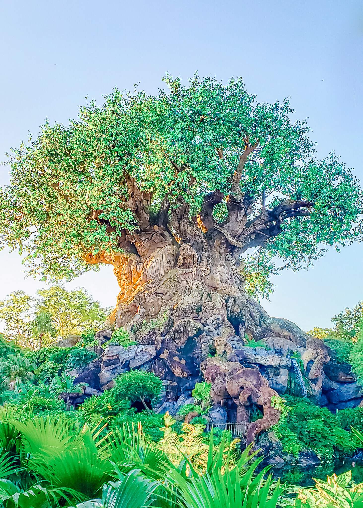 Ultimate Disney World Planning Spreadsheet - Flying Off The Bookshelf