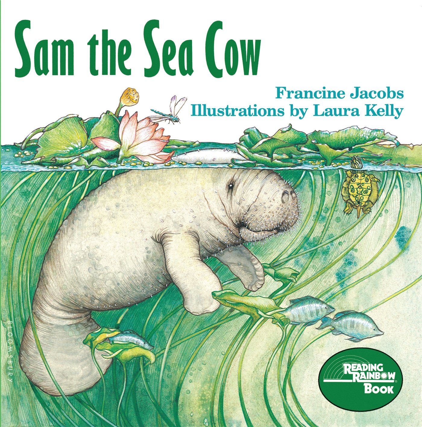 37 Great Books Set in + About Florida - Flying Off The Bookshelf
