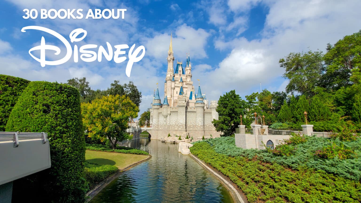 30 Books About Disney World and Disneyland - Flying Off The Bookshelf