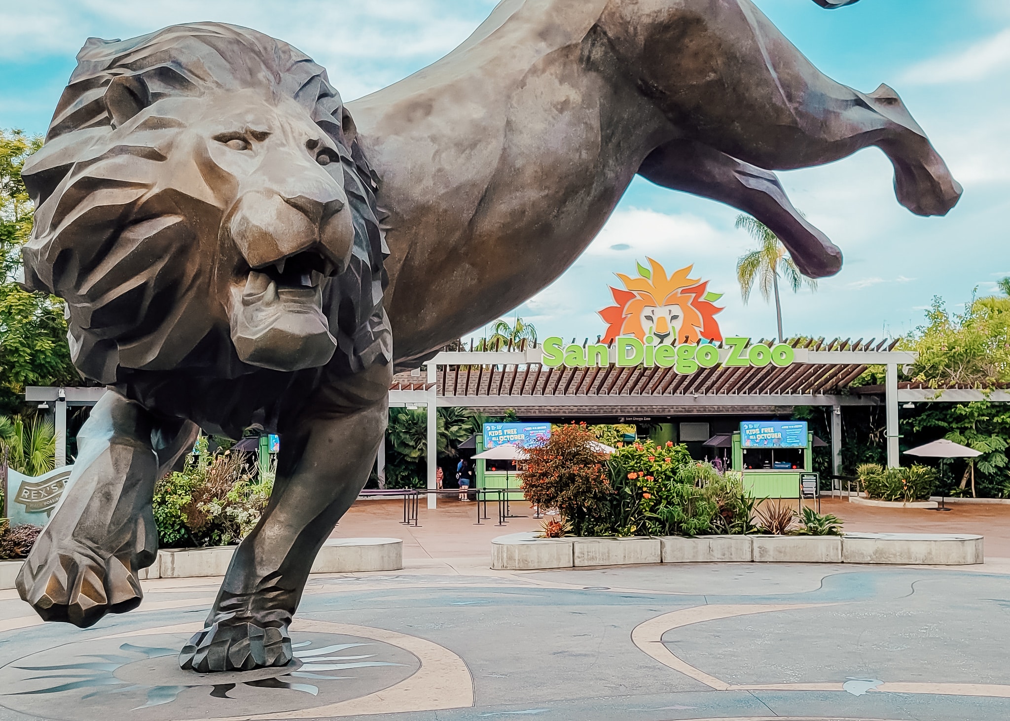 San Diego Zoo Vs Safari Park Which Should You Visit San Diego Zoo Vs Safari Park Which Should You Visit