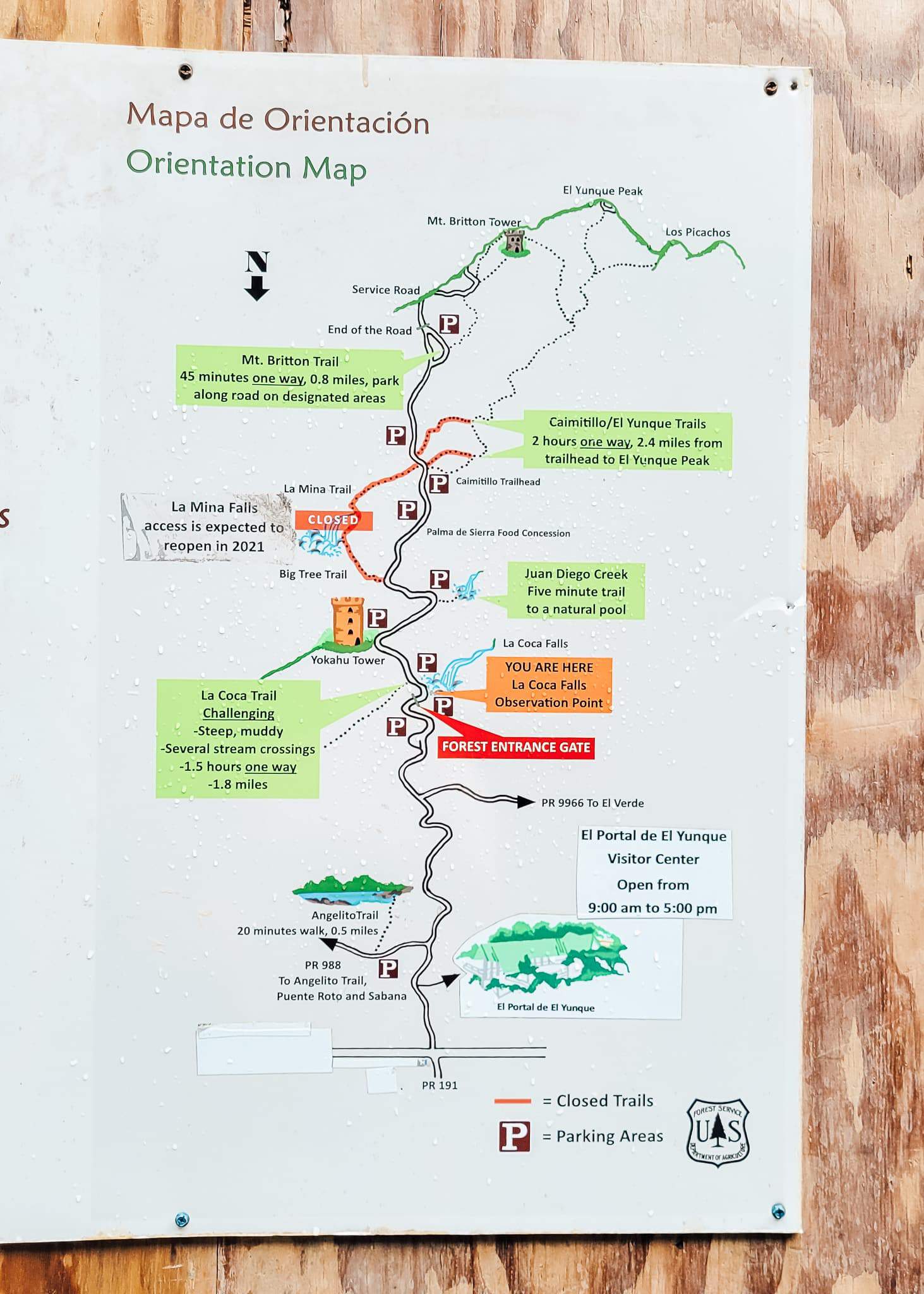 The Best Things To Do in El Yunque Rainforest