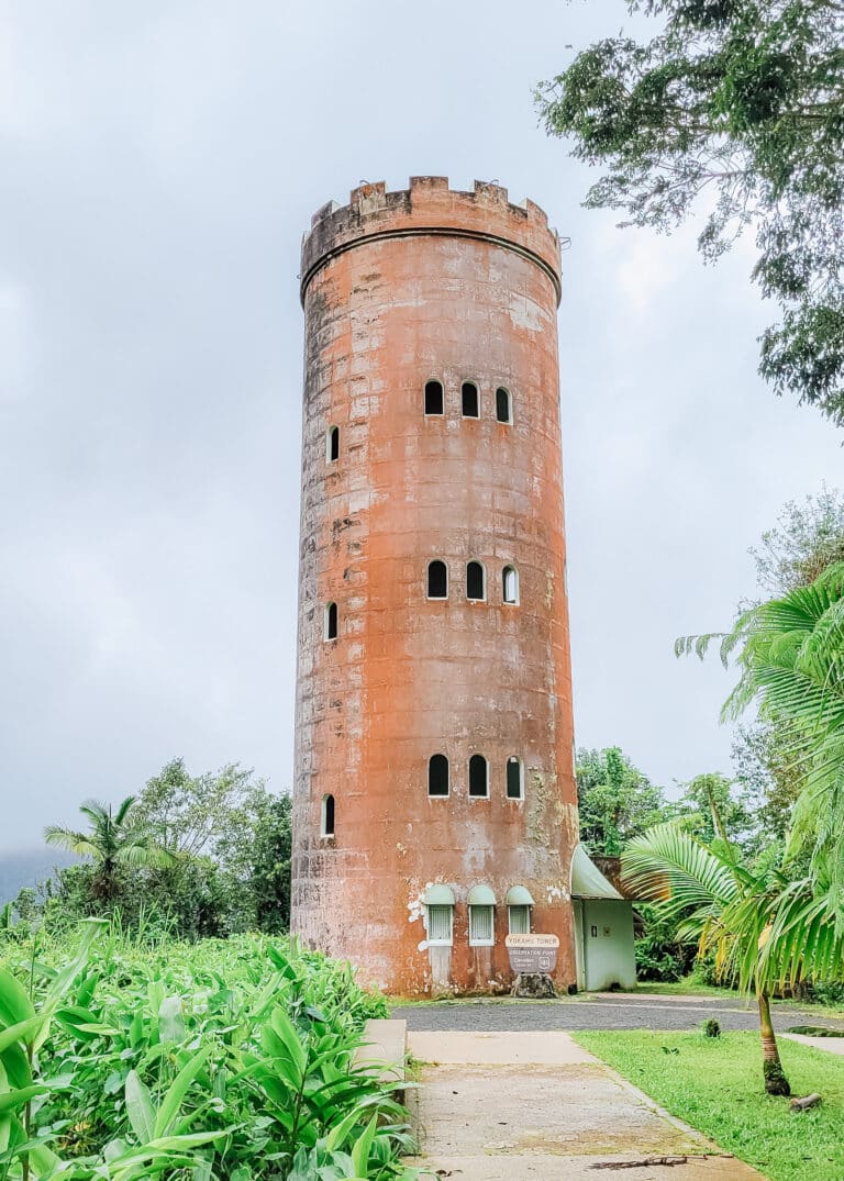 The Best Things To Do in El Yunque Rainforest