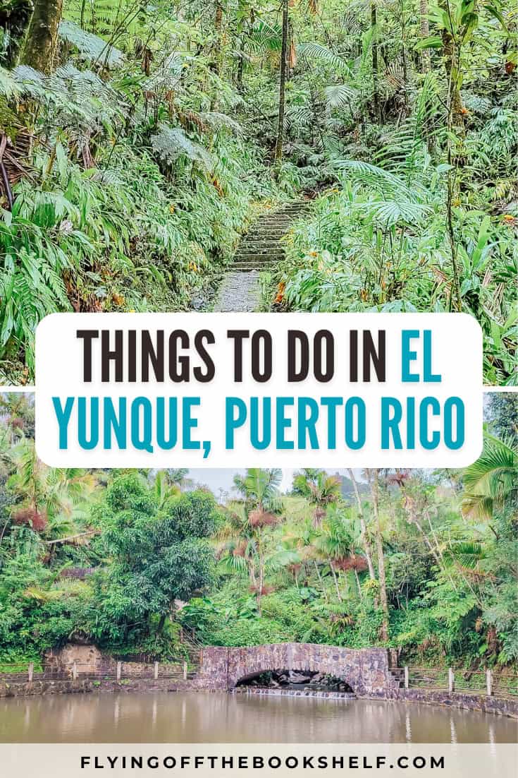 The Best Things To Do in El Yunque Rainforest