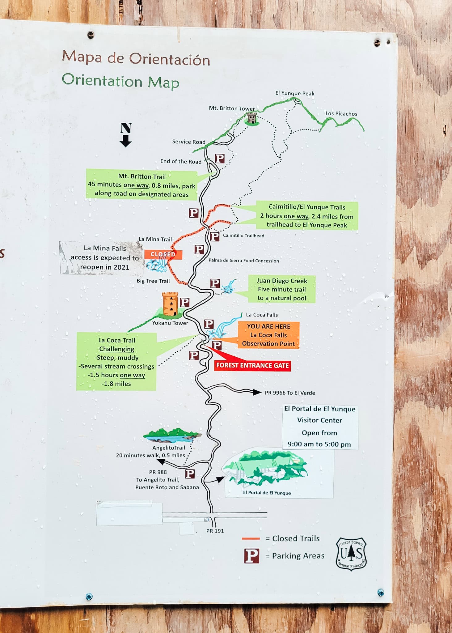 The Best Things To Do in El Yunque Rainforest