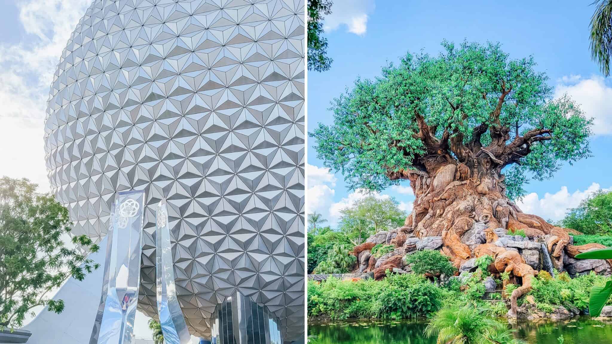 Epcot vs. Animal Kingdom: Which Disney Park Is Better?