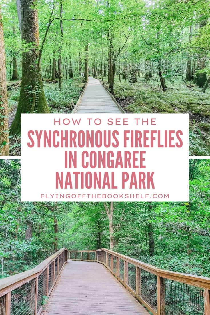 How to See the Synchronous Fireflies in Congaree National Park + Is It ...