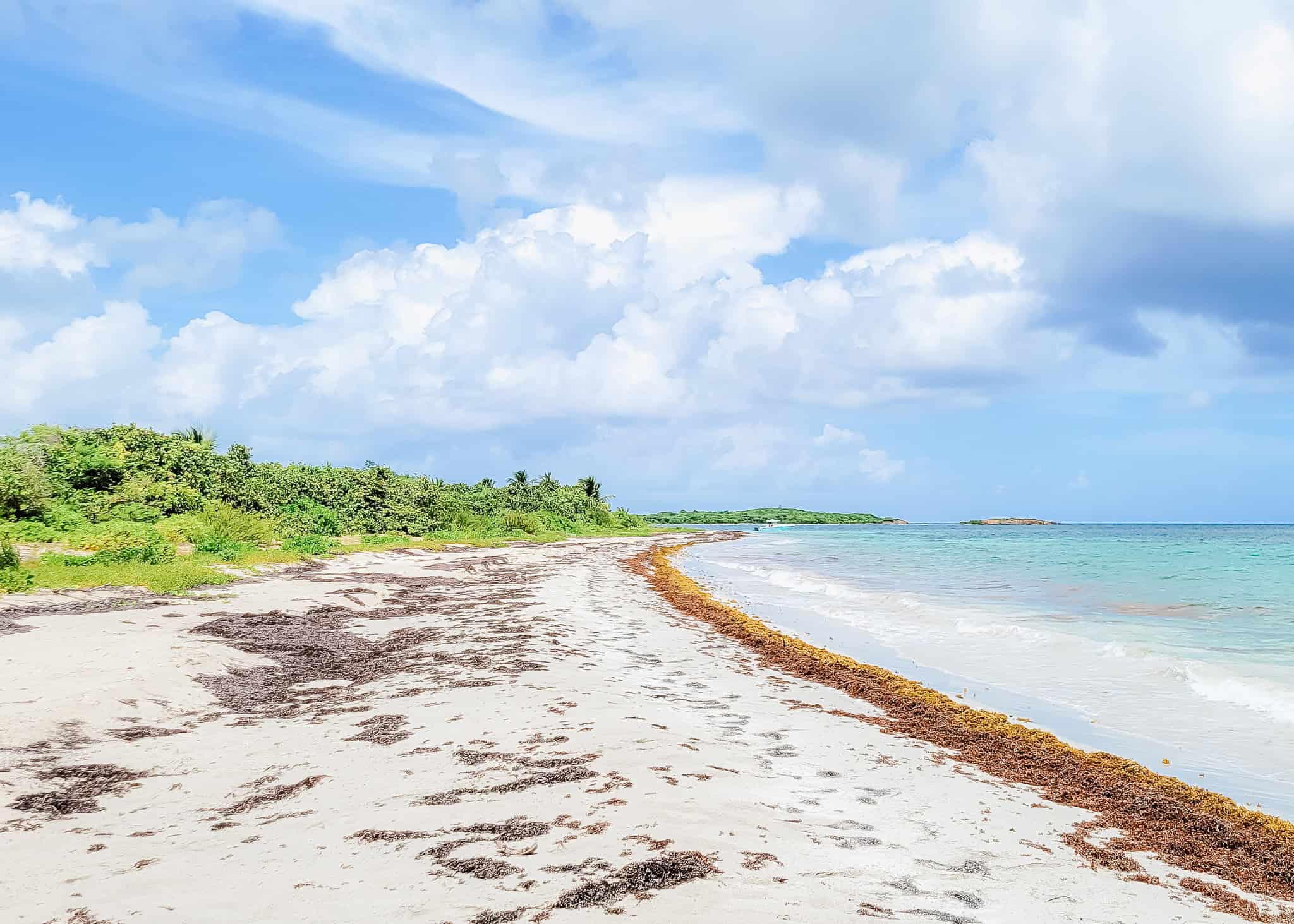 Vieques Best Beaches: 7 Beaches to Visit on Puerto Rico's Popular ...