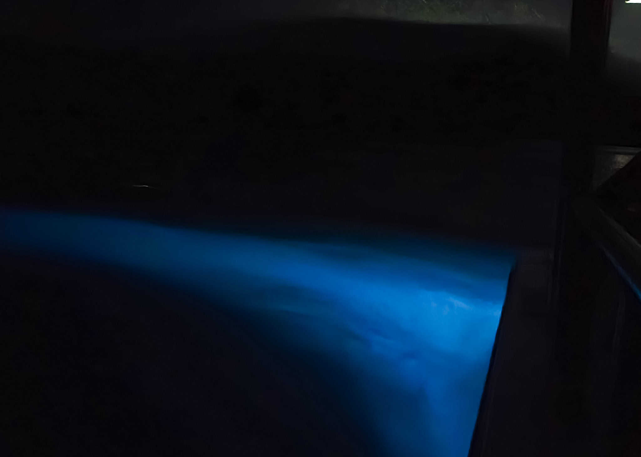 Best Bio Bay in Puerto Rico: Comparing Puerto Rico's 3 Bioluminescent Bays