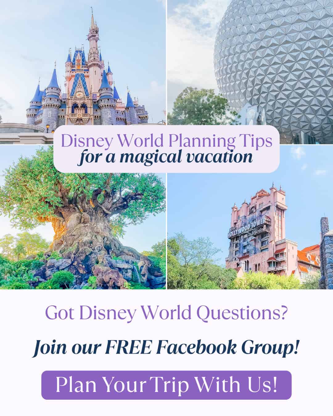 Disney World 101: Disney Tips for Beginners - Flying Off The Bookshelf