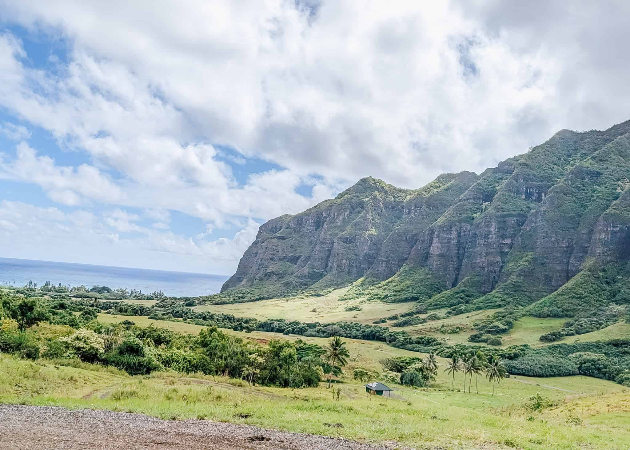 Our Kualoa Ranch Jurassic Adventure Tour Experience
