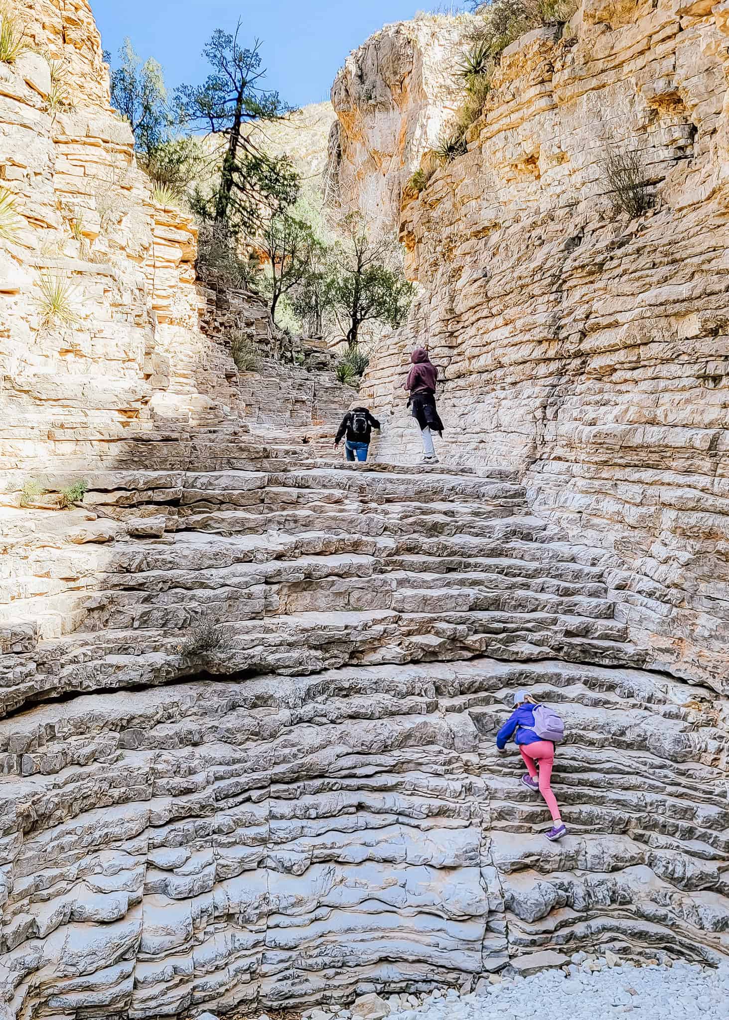 How We Spent One Day in Guadalupe Mountains National Park