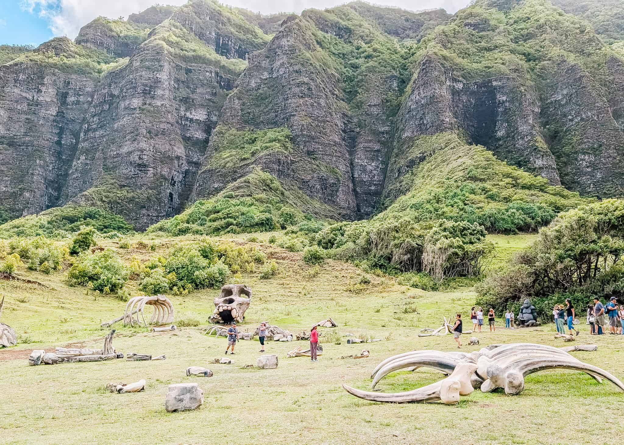 Our Kualoa Ranch Jurassic Adventure Tour Experience