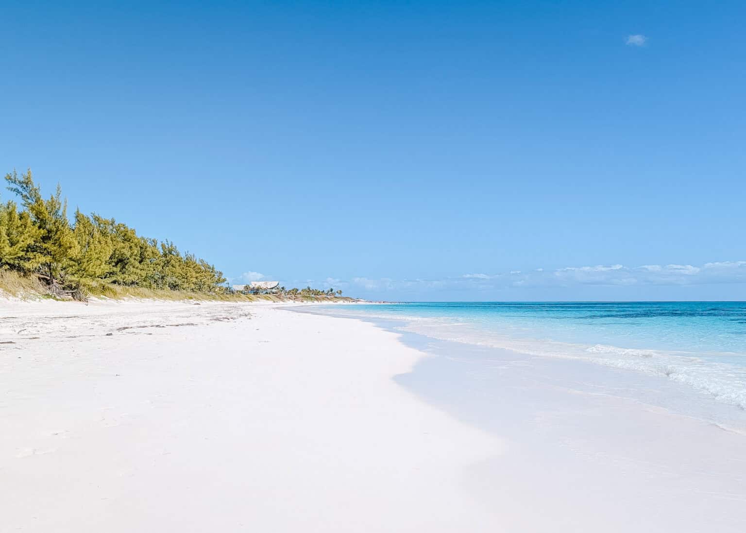 Castaway Cay vs. Lookout Cay: Which Disney Island is Better?